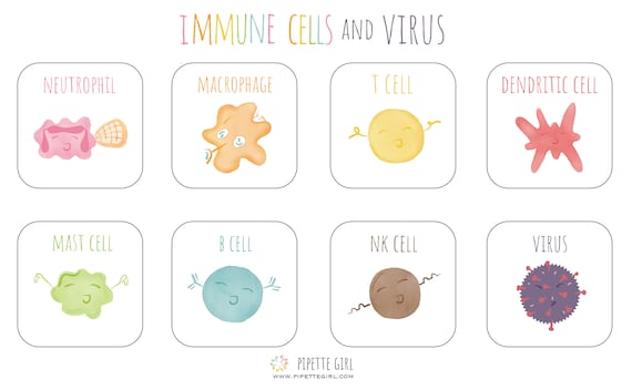 Cute Immune Cell and Virus Stickers | Etsy