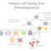 Immune Cell Posters - Etsy