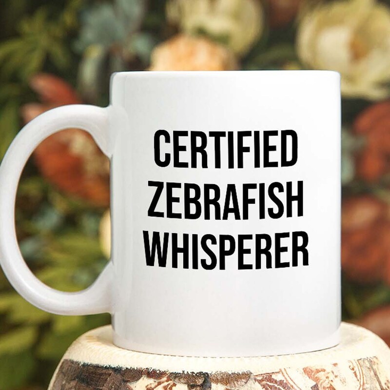 Zebra Fish - Etsy
