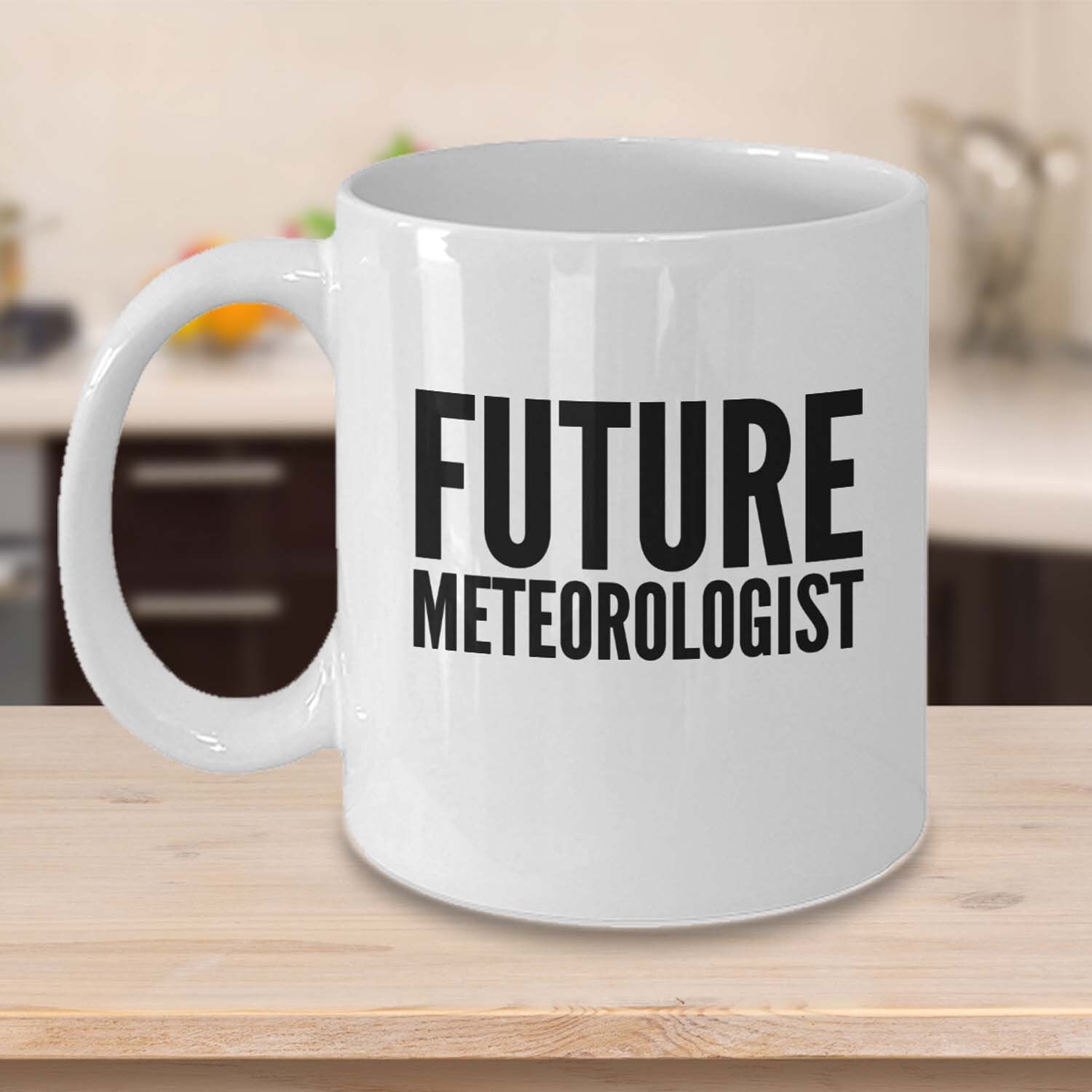 Future Meteorologist Gift Graduation Gift Weatherman Gift - Etsy