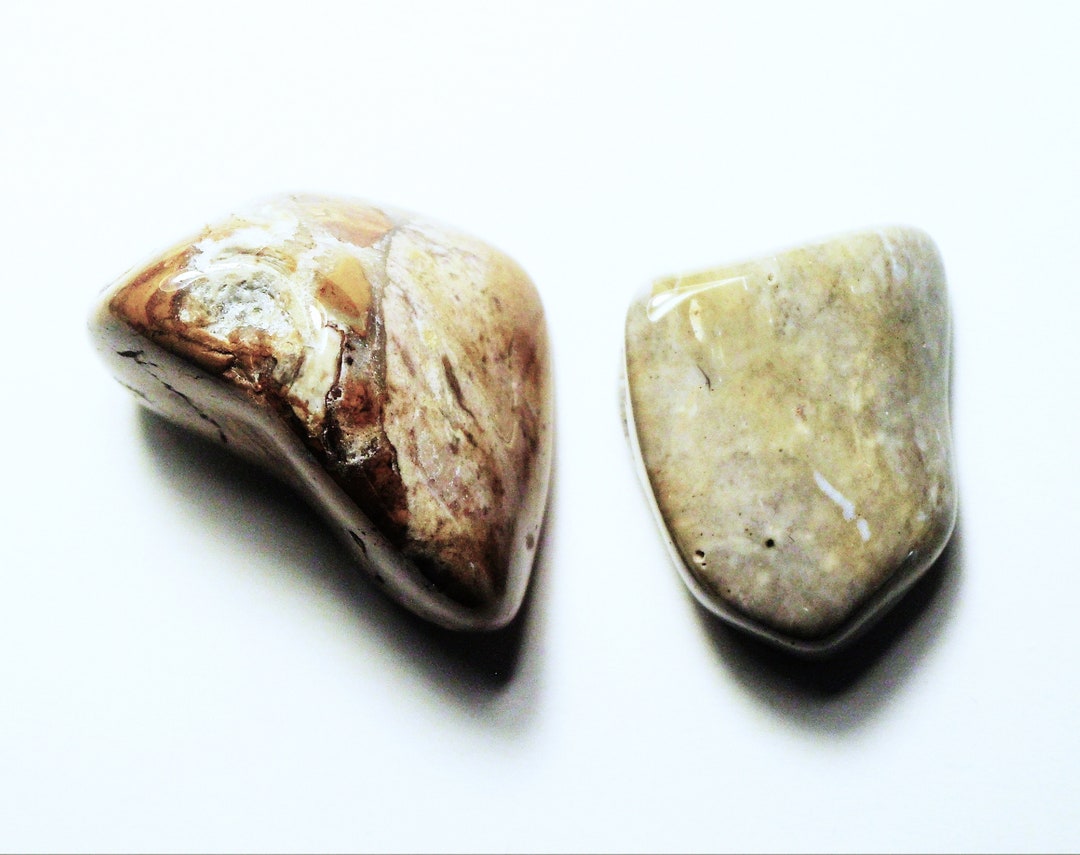 100cts Polished Ohio Flint Nethers Farm E2 - Etsy