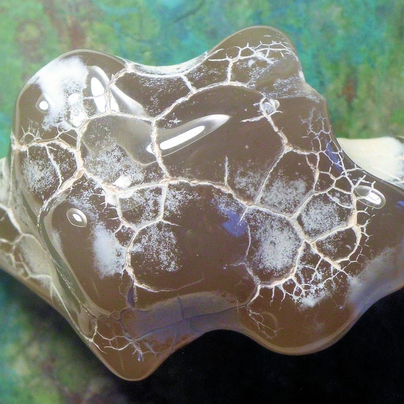 Snakeskin Agate - Etsy