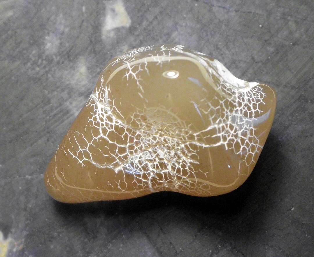 62.97cts 32 X 19 X 15mm Polished Snakeskin Agate Specimen Rome Oregon ...