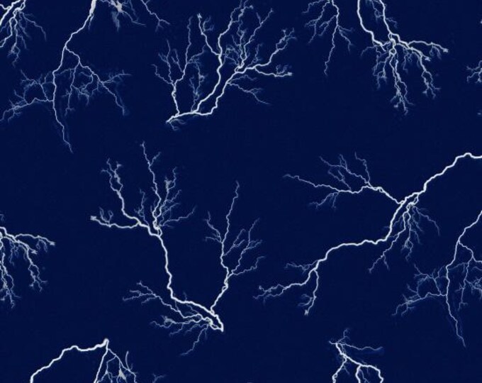 Lightning Bolts -- Natural Treasures II, Blank Quilting -- Nature Quilt ...