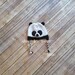 Panda Bear Hat 6 Sizes Available, READY TO SHIP White, Black, China ...
