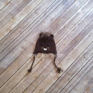 Gopher or Groundhog Hat - 6 Sizes Available, READY TO SHIP; Groundhog ...