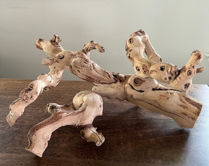 Natural, Dried, Unique Grapewood Branch | Rustic Decor | Wood Sculpture ...