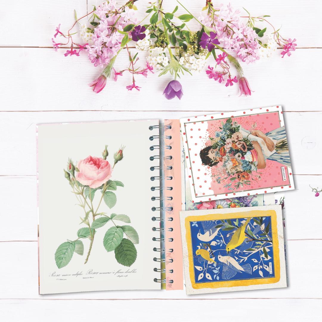 Daphne's Diary 2026 Planner Diary Calendar Journal SHIPPING Now - Etsy