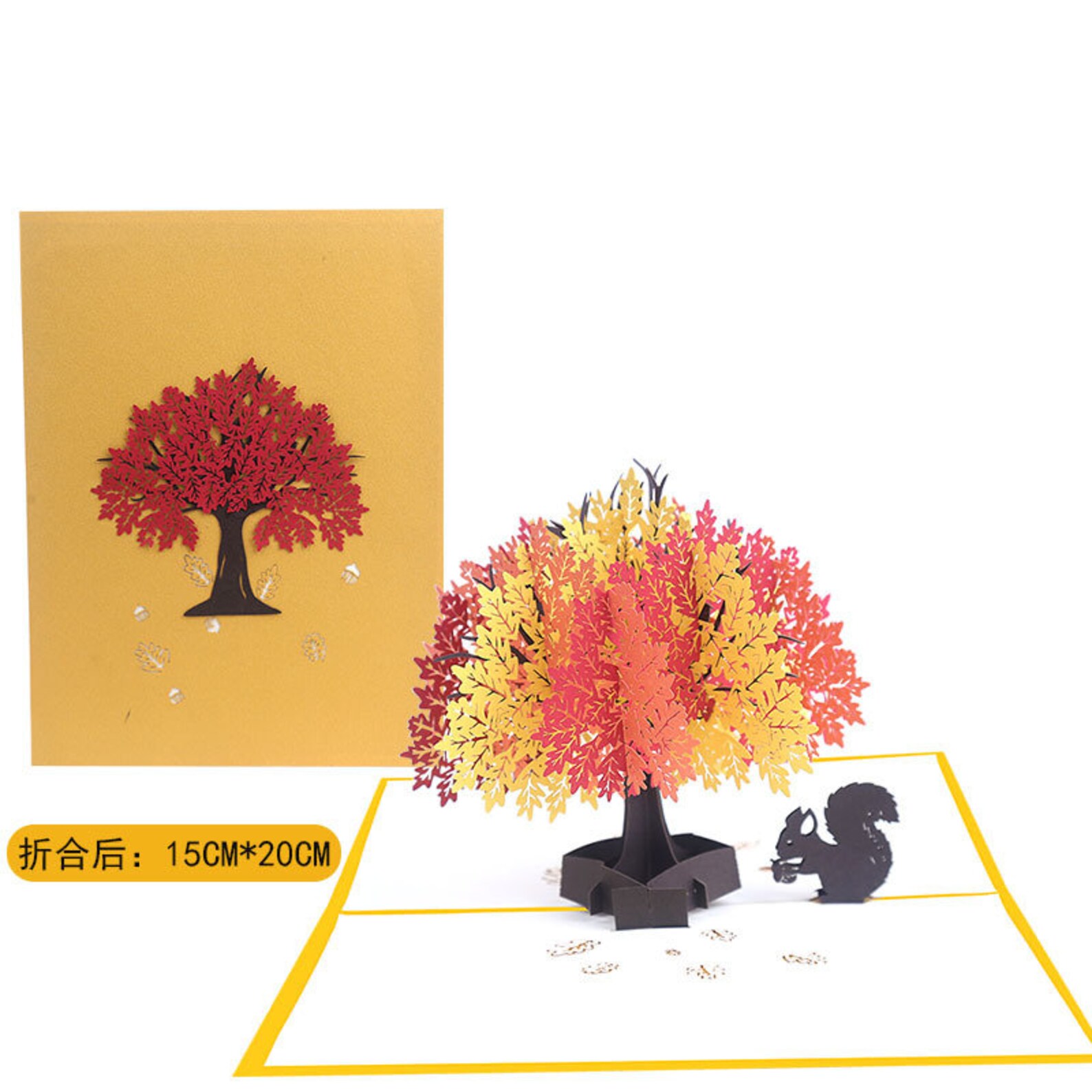 Animal Pop up Card Congratulations Card Squirrel Card - Etsy UK