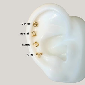 14K REAL Solid Gold Little Zodiac Sign Ear Piercing, Daith Helix Tragus ...