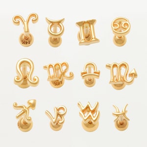 14K REAL Solid Gold Little Zodiac Sign Ear Piercing, Daith Helix Tragus ...