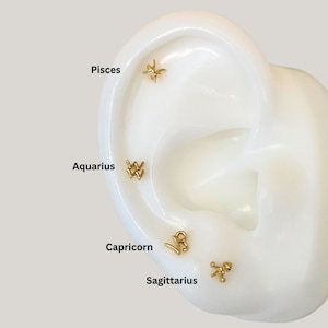 14K REAL Solid Gold Little Zodiac Sign Ear Piercing, Daith Helix Tragus ...