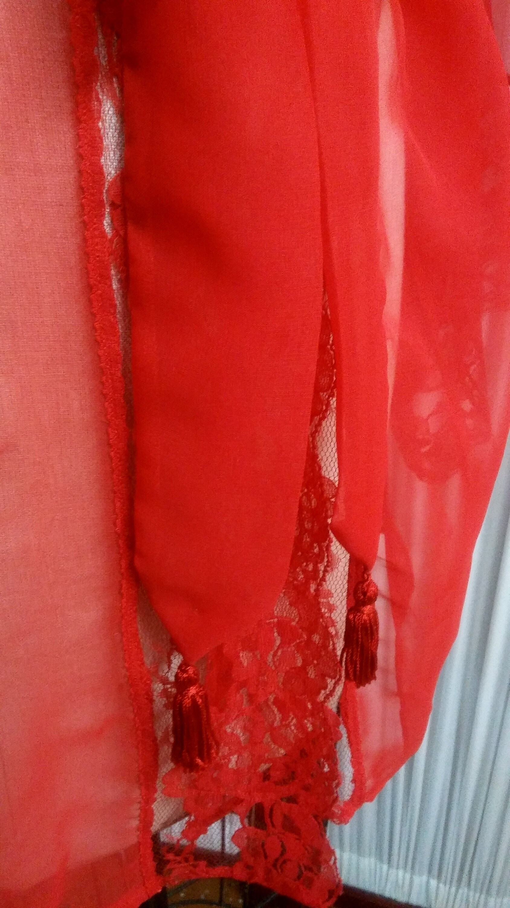 Red Chiffon Robe With 4 Red Scalloped Lace Around Sleeve and Front of ...