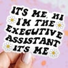 Data Queen Funny Laptop Sticker Water Bottle Gift for Women Teacher ...