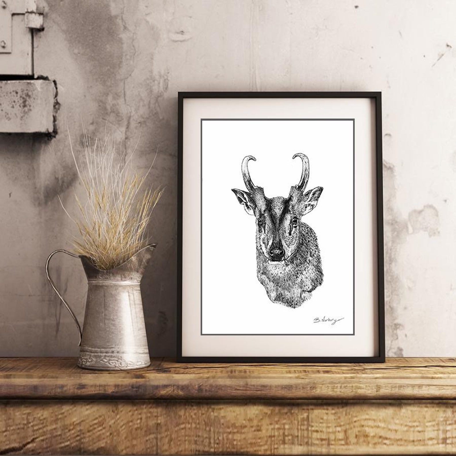 The Muntjac Buck - A3 & A4 Drawing Print - Etsy