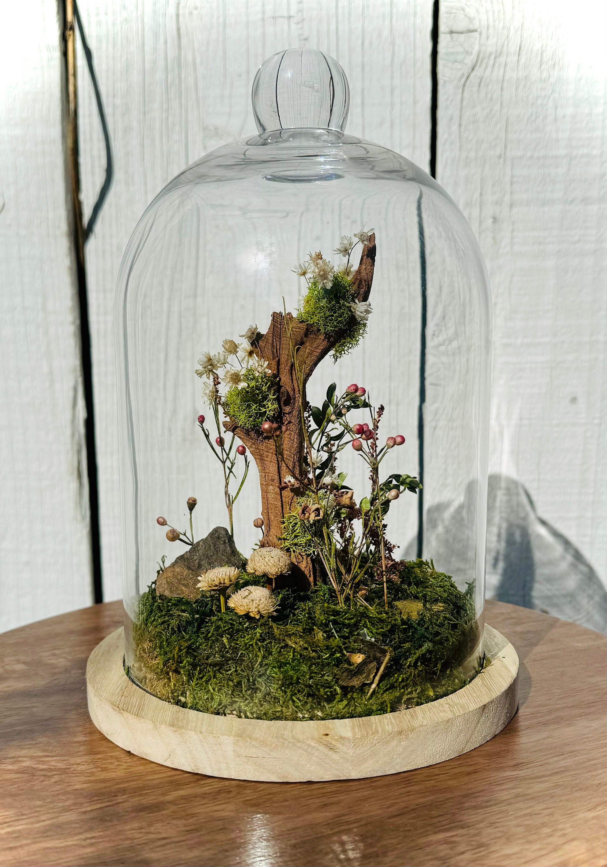 Big Glass Flower Dome - Etsy