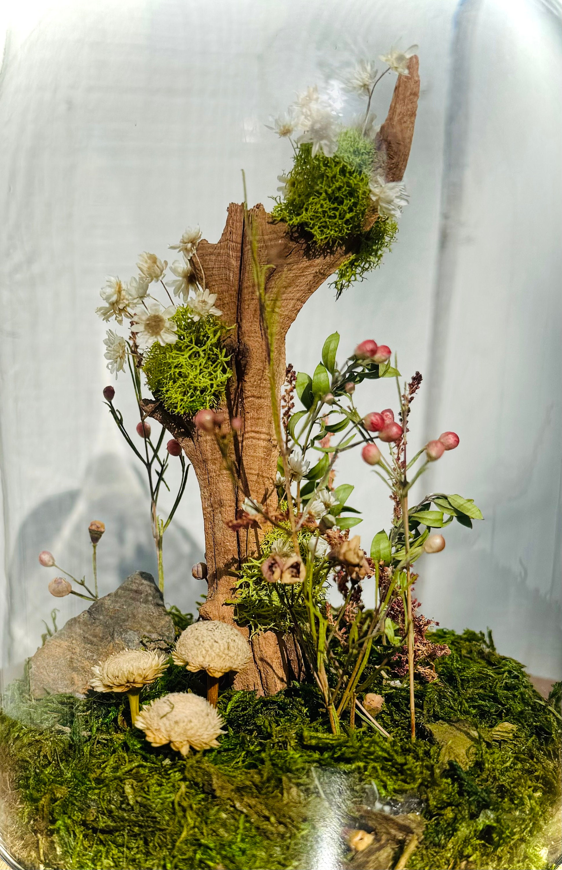 Big Glass Flower Dome - Etsy