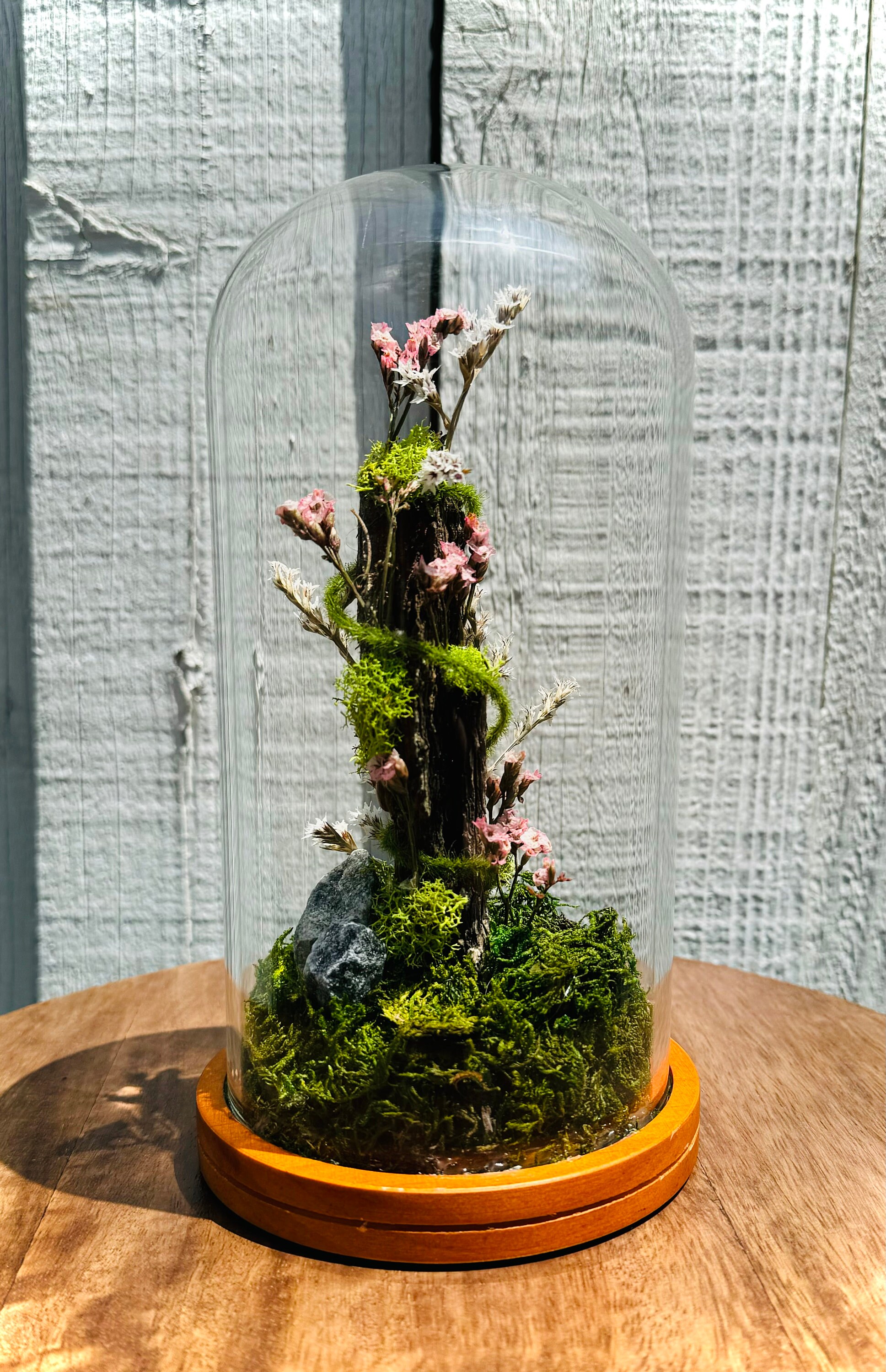 Tall Glass Dome - Etsy