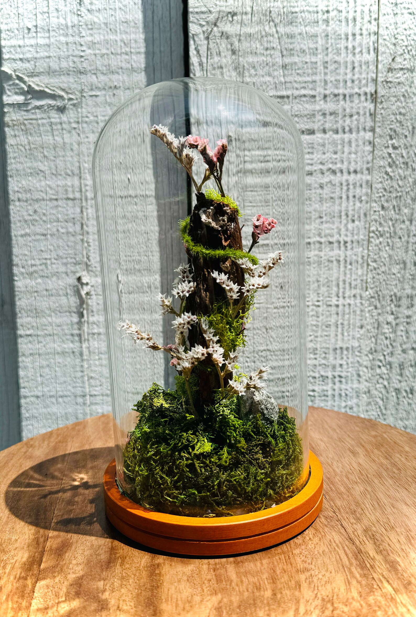 Tall Glass Dome - Etsy