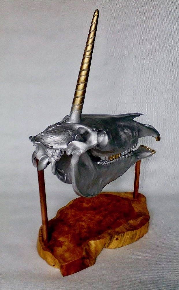 Unique Horn - Etsy