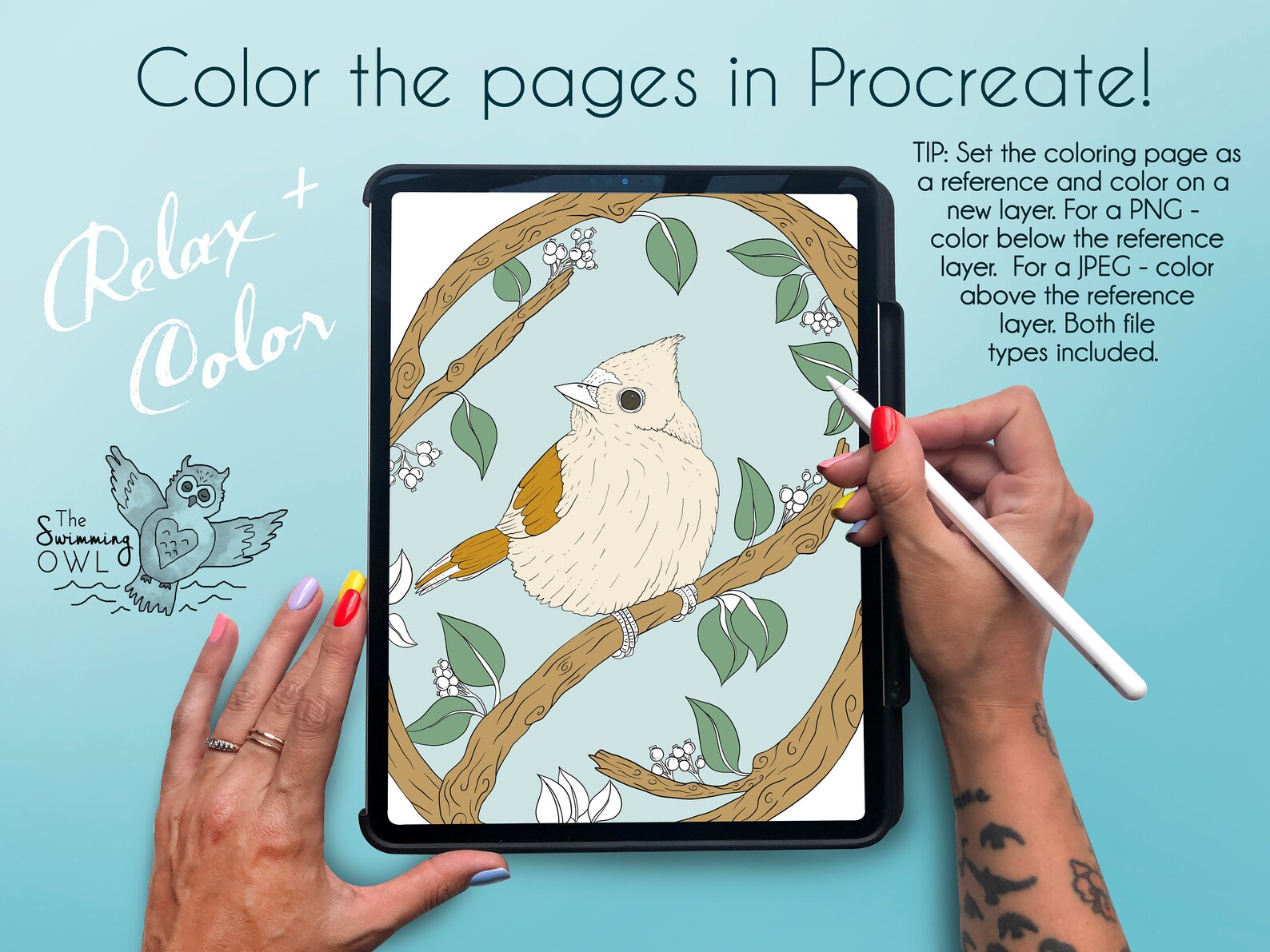 Printable Bird Coloring Page Little Bird Coloring Page - Etsy