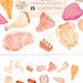 Raw Meat and Fish Clipart - Kitchen Clipart - Chef Clipart - Cooking ...
