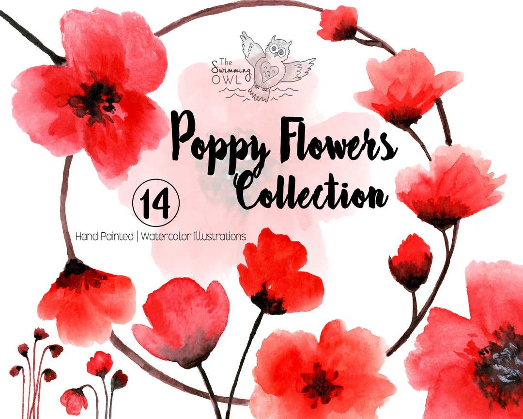 Poppy Flowers Clipart - Flowers Clipart - Floral Wreaths - Spring ...