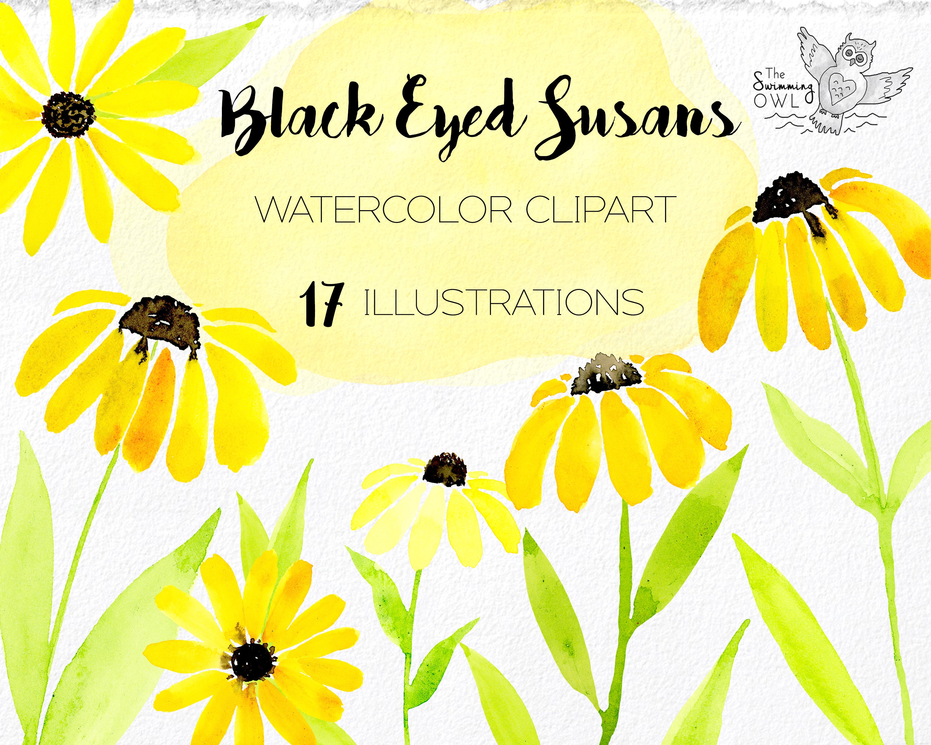 Black Eyed Susan Clipart