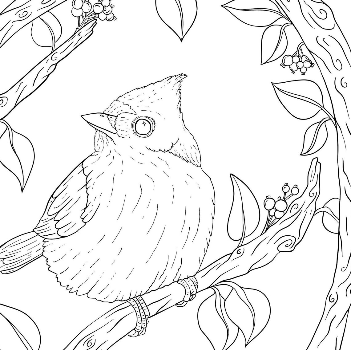 Printable Bird Coloring Page Little Bird Coloring Page - Etsy