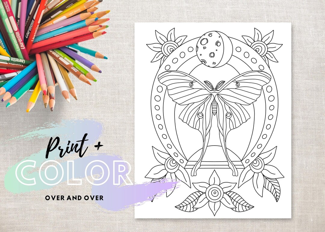 Luna Moth Coloring Page Printable Adult Coloring Page or Use as a ...
