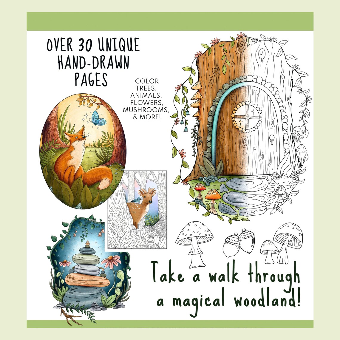 Whimsical Woodland Coloring Book - Walk in the Woods Coloring Pages for ...
