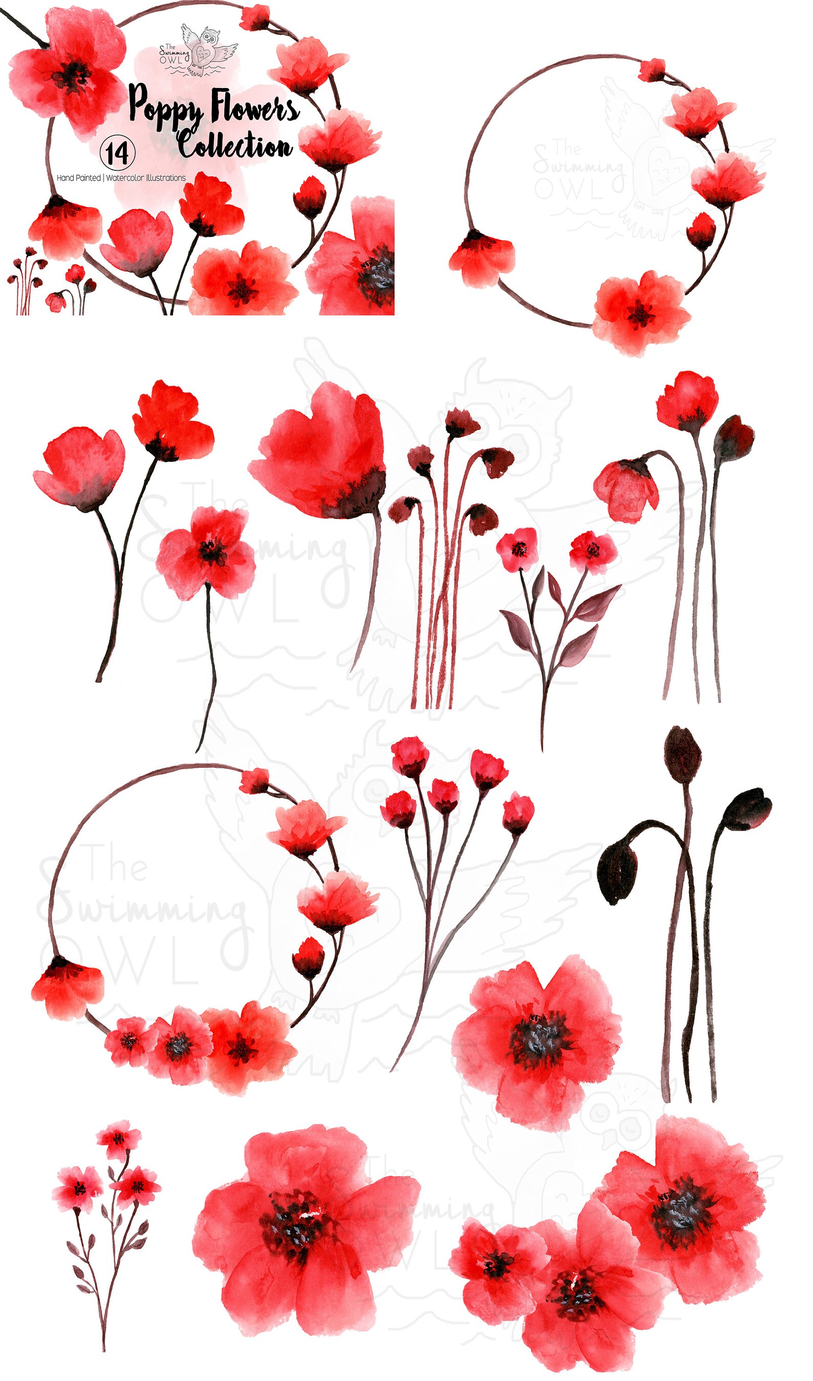 Poppy Flowers Clipart - Flowers Clipart - Floral Wreaths - Spring ...