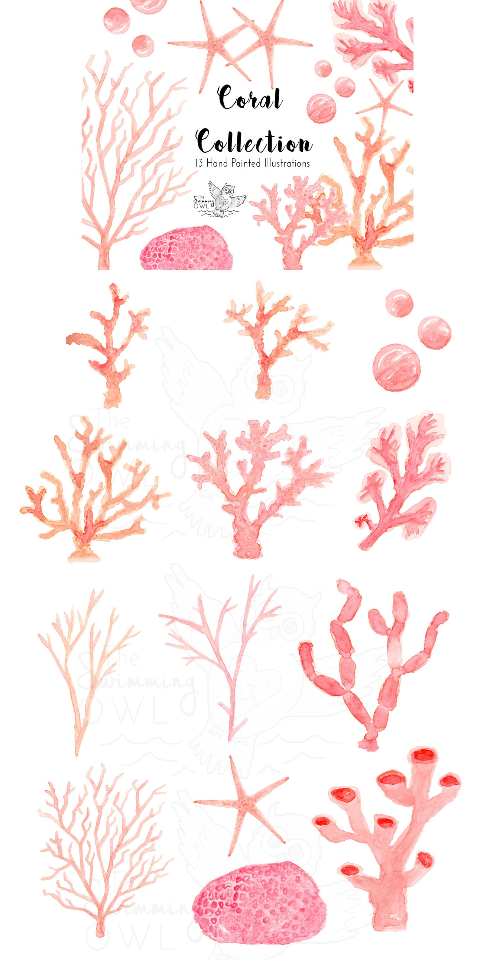 Coral Watercolor Clipart Beach Clipart Under the Sea - Etsy Canada
