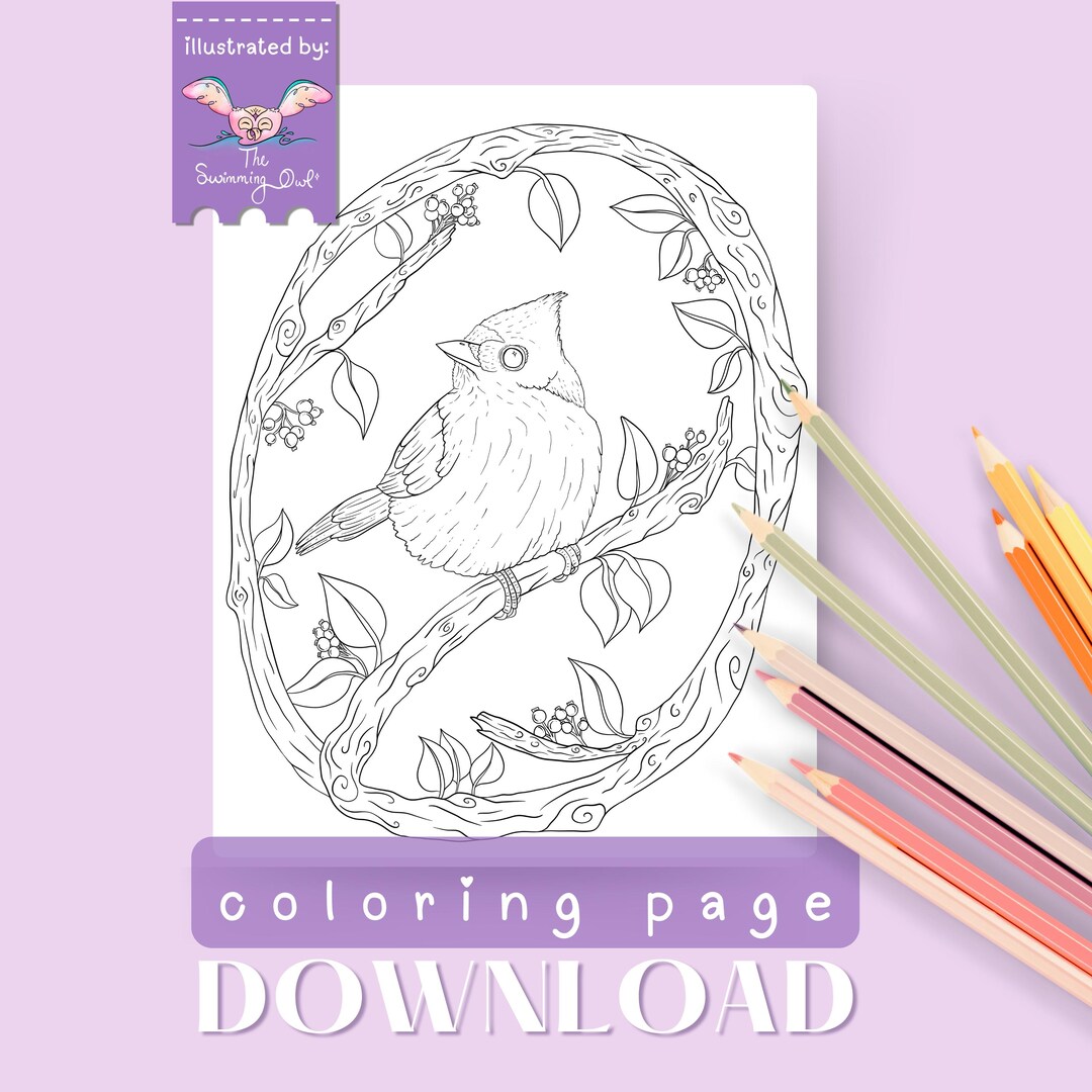 Little Bird Coloring Page, Printable Adult Coloring Page | Cute Nature ...