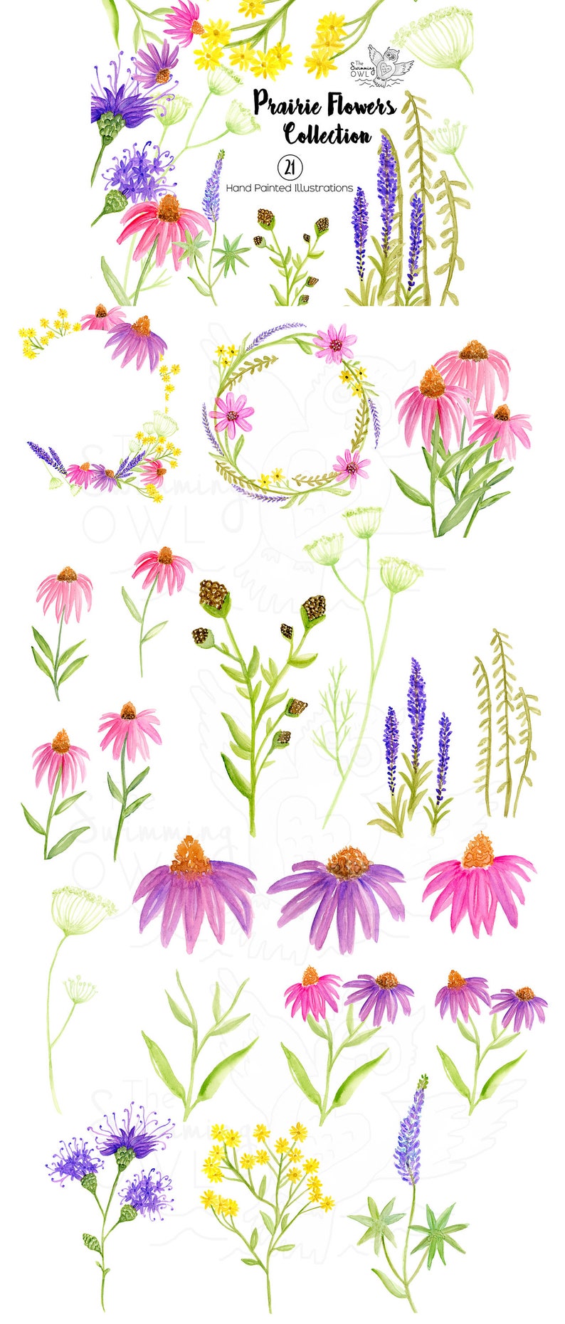 Watercolor Wildflower Clipart Floral Clip Art Wildflower - Etsy