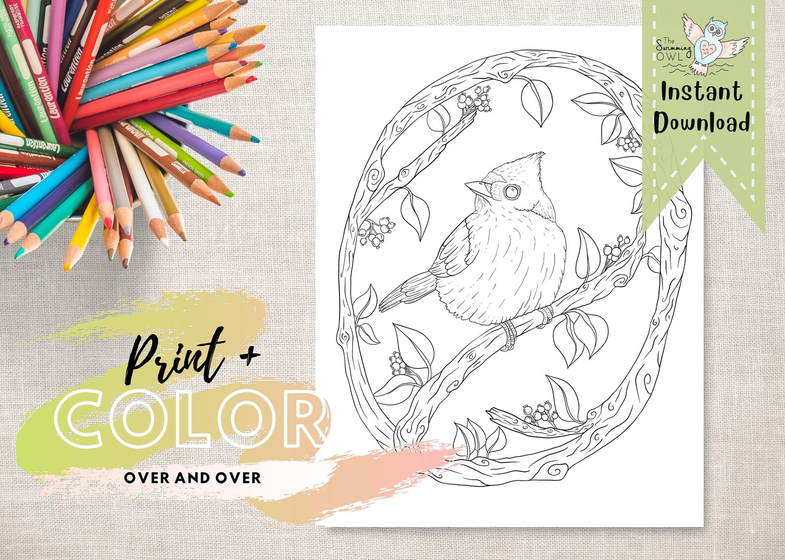 Printable Bird Coloring Page Little Bird Coloring Page - Etsy