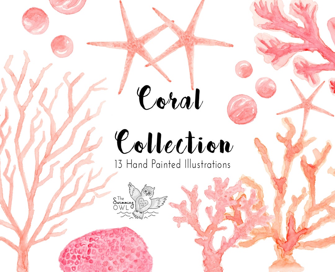 Coral Watercolor Clipart - Beach Clipart - Under the Sea Clipart ...