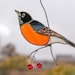 Bird Artwork Stained Glass Window Hangings American Robin - Etsy
