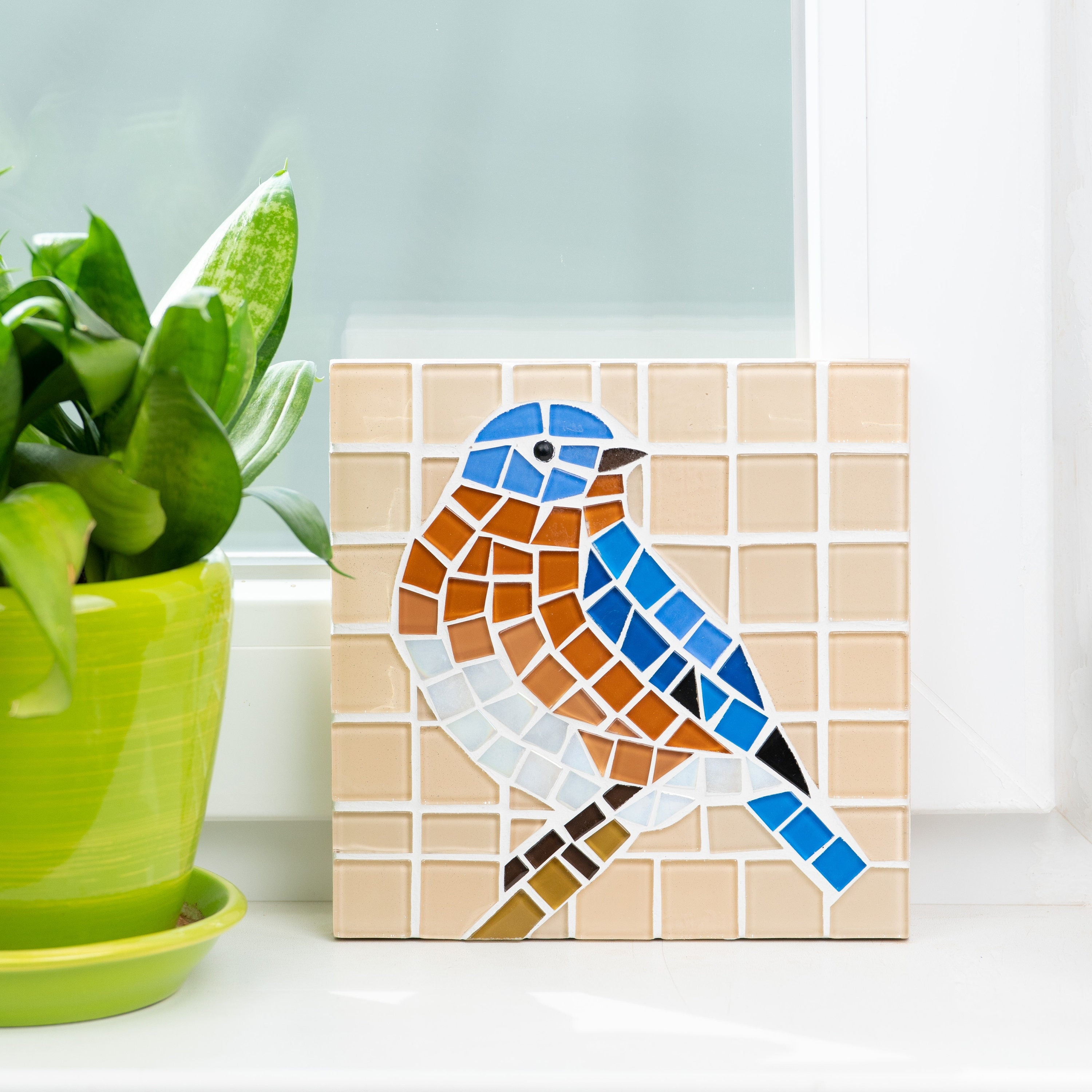 Mosaic Patterns For Beginners