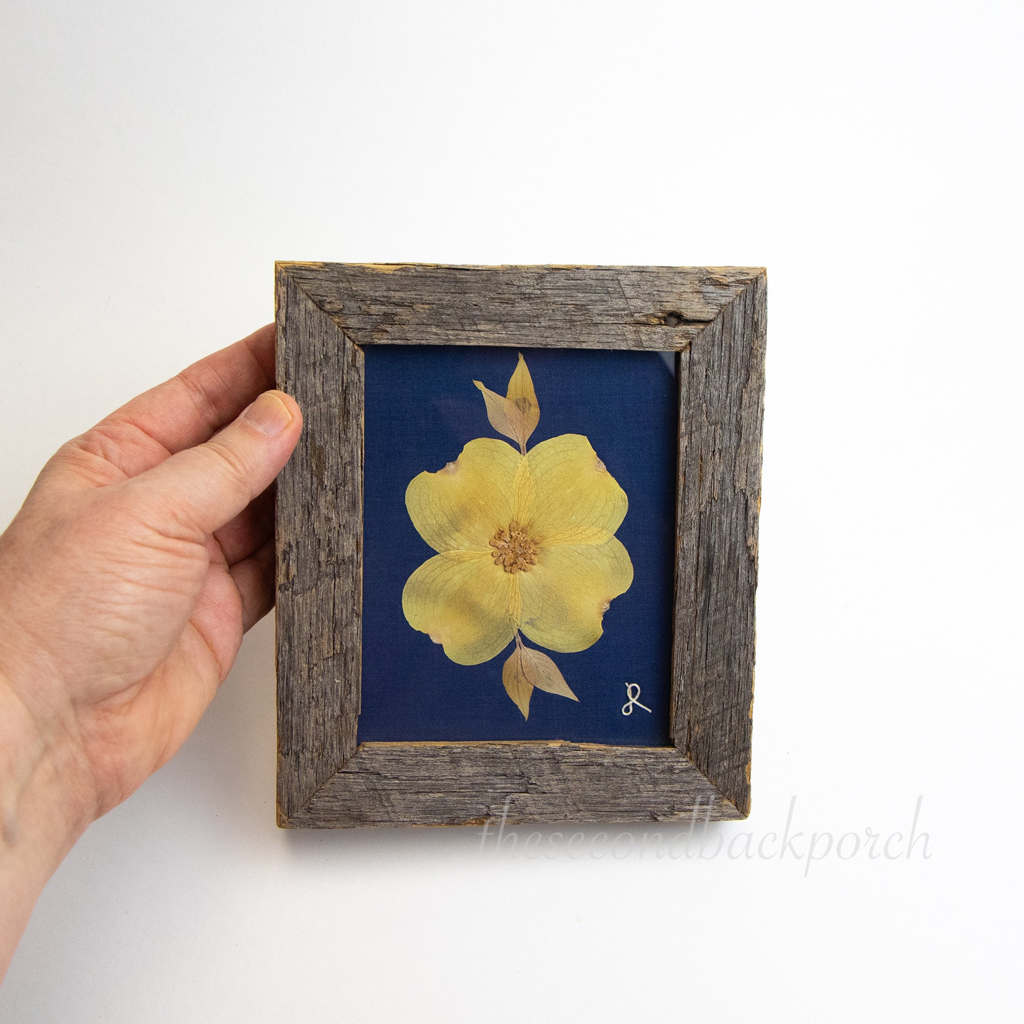 Pressed Dogwood Blossom Framed Art by Darien Russell - Etsy