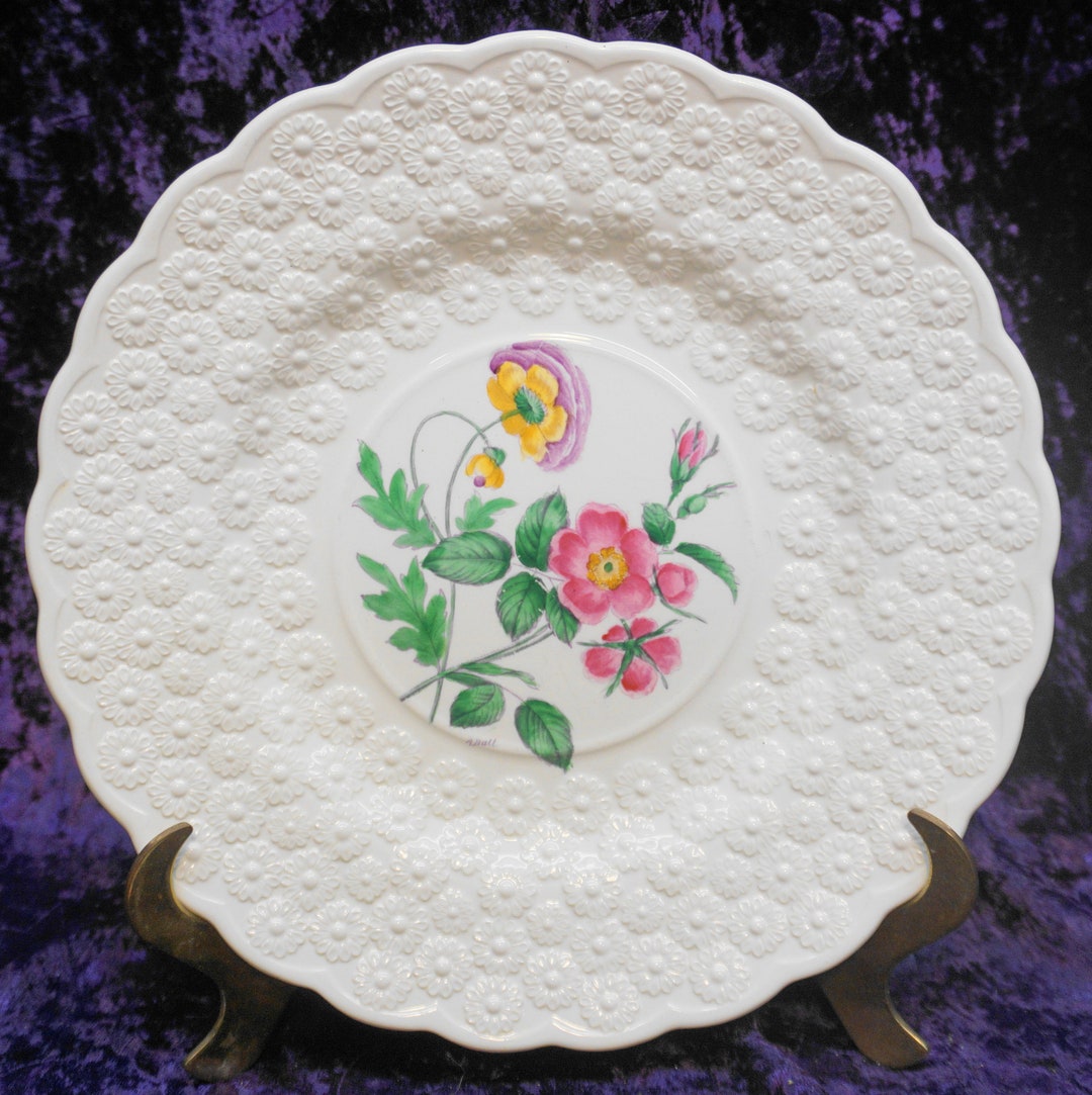 Vintage Copeland Spode wild Rose No. 9 Luncheon - Etsy