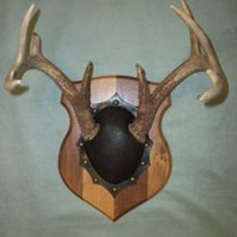 10"x13" Taxidermy Mount Badge Plaques - Etsy