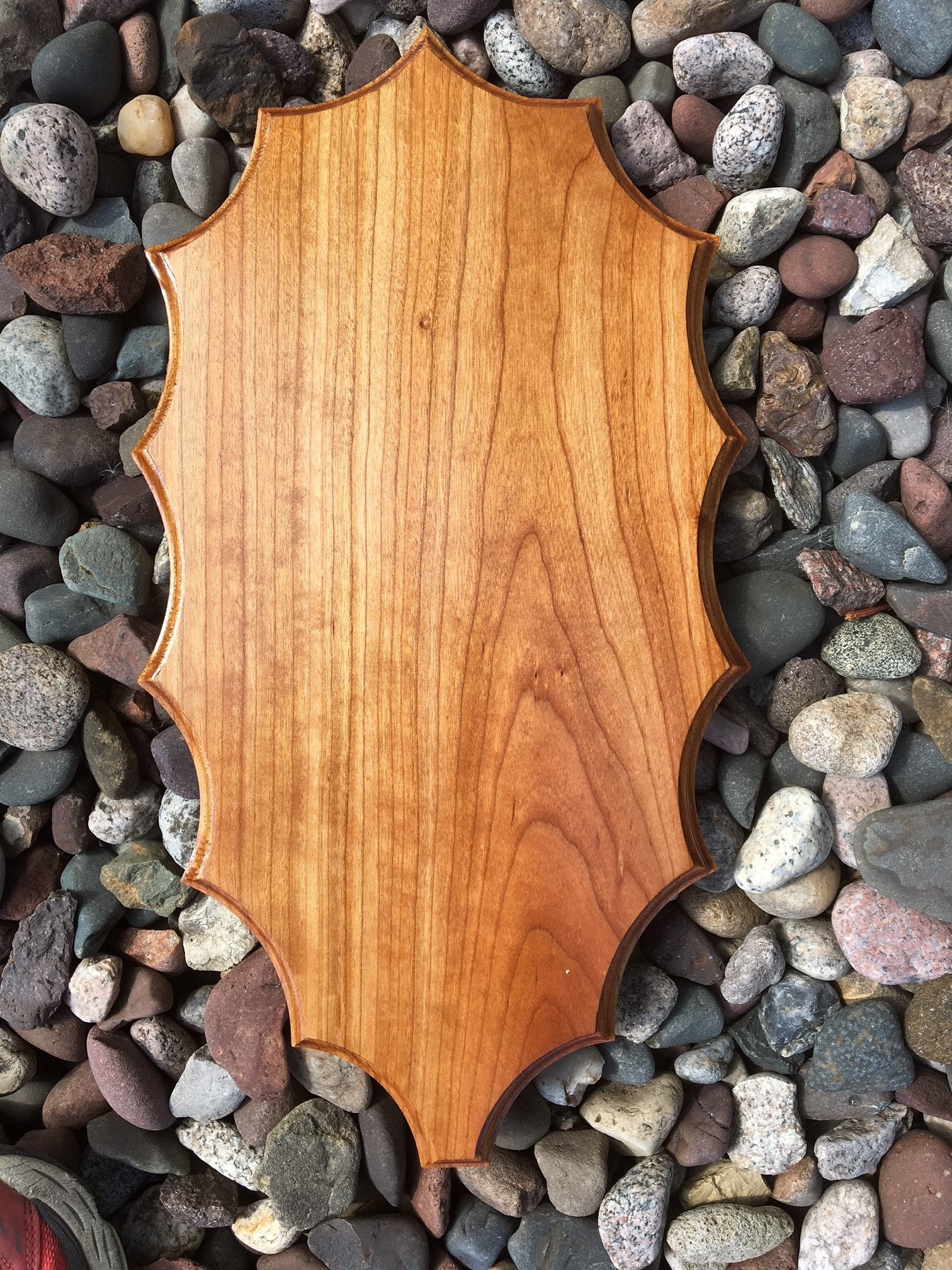 15 Point Scalloped European Deer Mount - Etsy