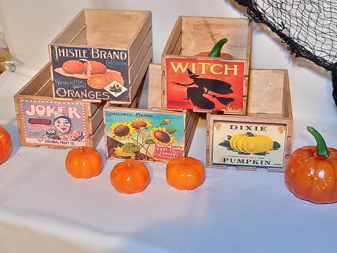 Mini Vintage Fruit Crates Farmhouse Fall Autumn Halloween Decor Display ...