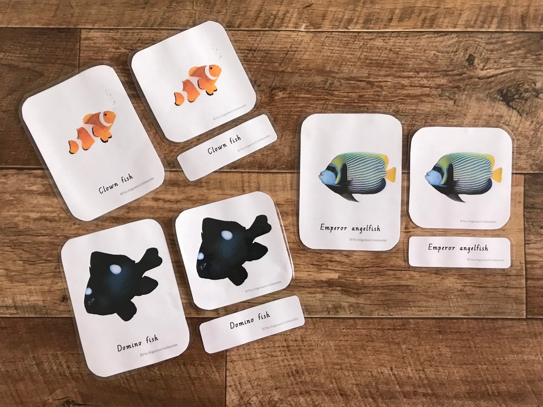 Montessori Inspired 3-part Cards - Fish - Marine - Aquatic ...