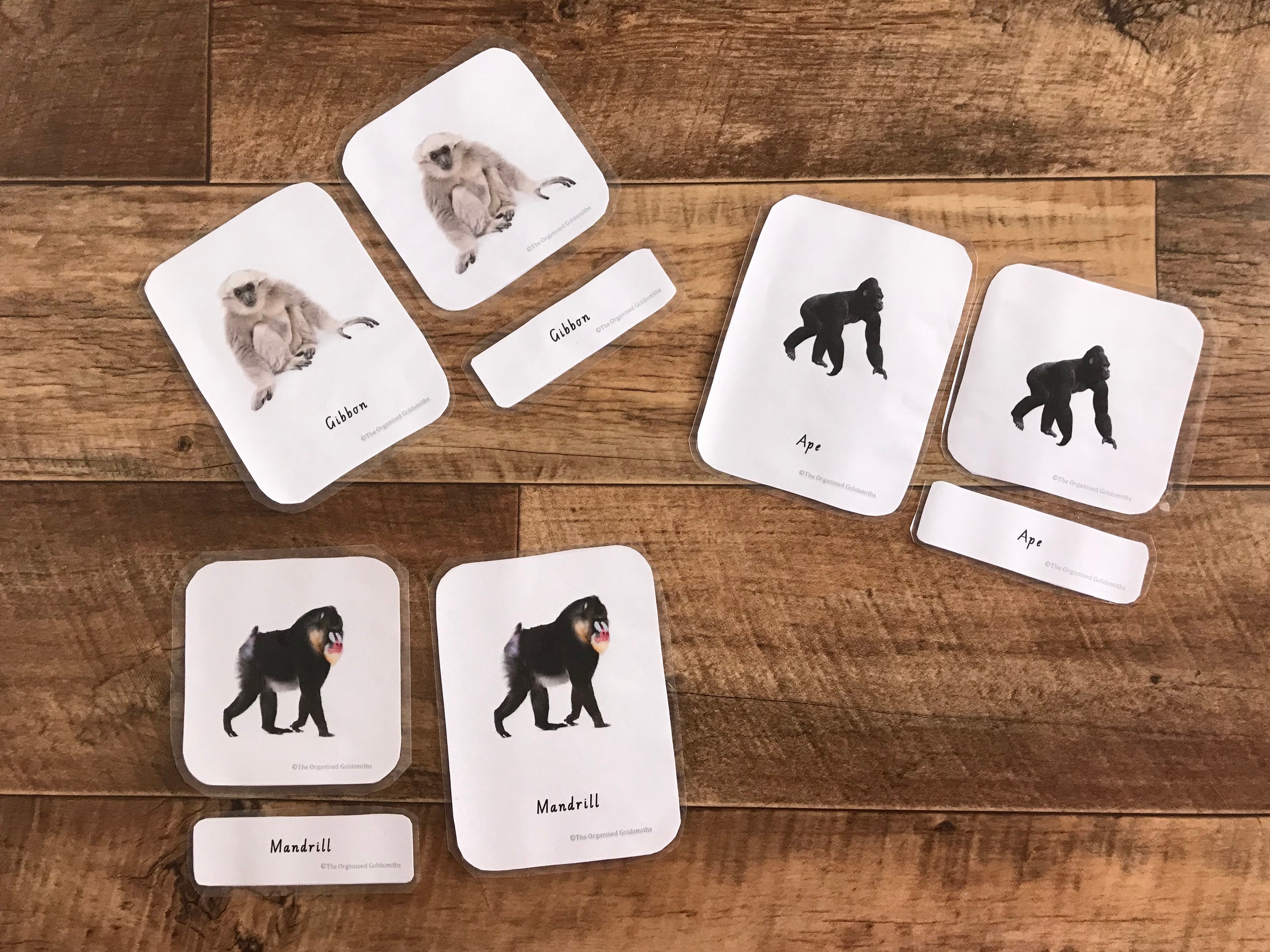 Montessori Inspired 3-part Cards - Primate - Animal - Educational ...