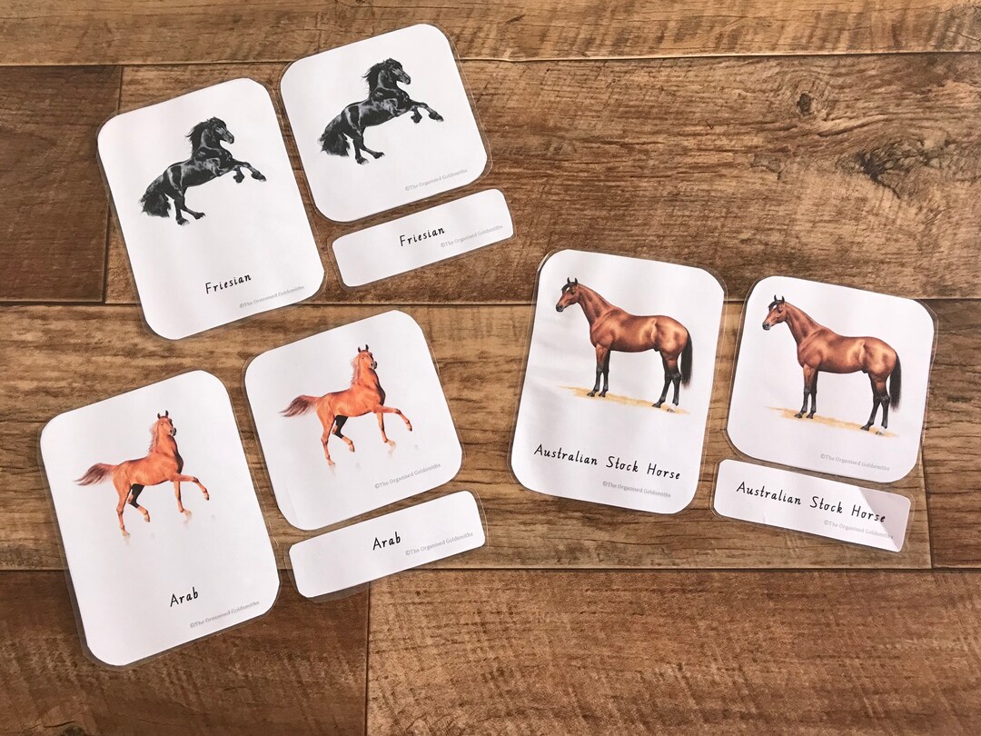 Montessori Inspired 3-part Cards - Equine - Horse - Pony - Animal ...