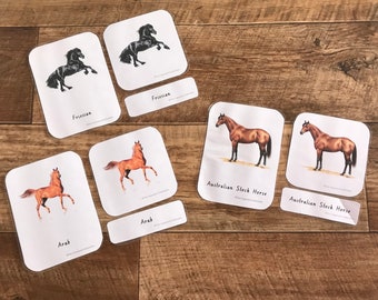 Montessori Inspired 3-part Cards - Cattle - Cow - Animal - Educational ...