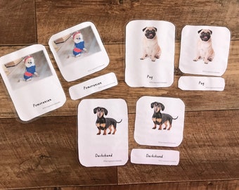 Montessori Inspired 3-part Cards Dogs Canine Animal - Etsy