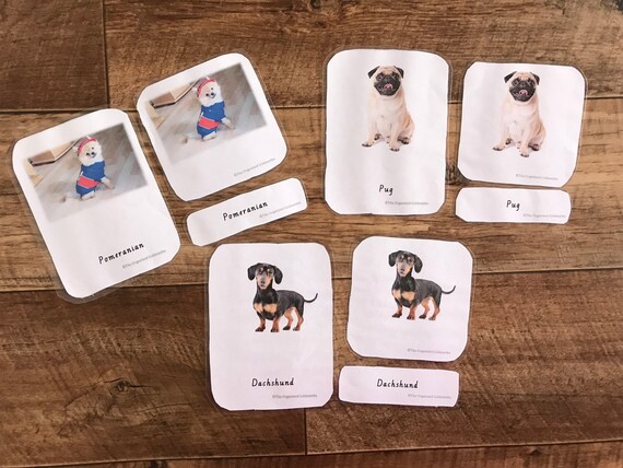 Montessori Inspired 3-part Cards Dogs Canine Animal | Etsy